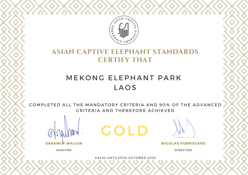 Mekong Elephant Park – Located in Pakbeng – Laos